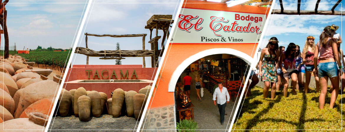 Tour Ruta del Pisco Tour Viñedos Ica - La ruta del aroma sólo aquí ...